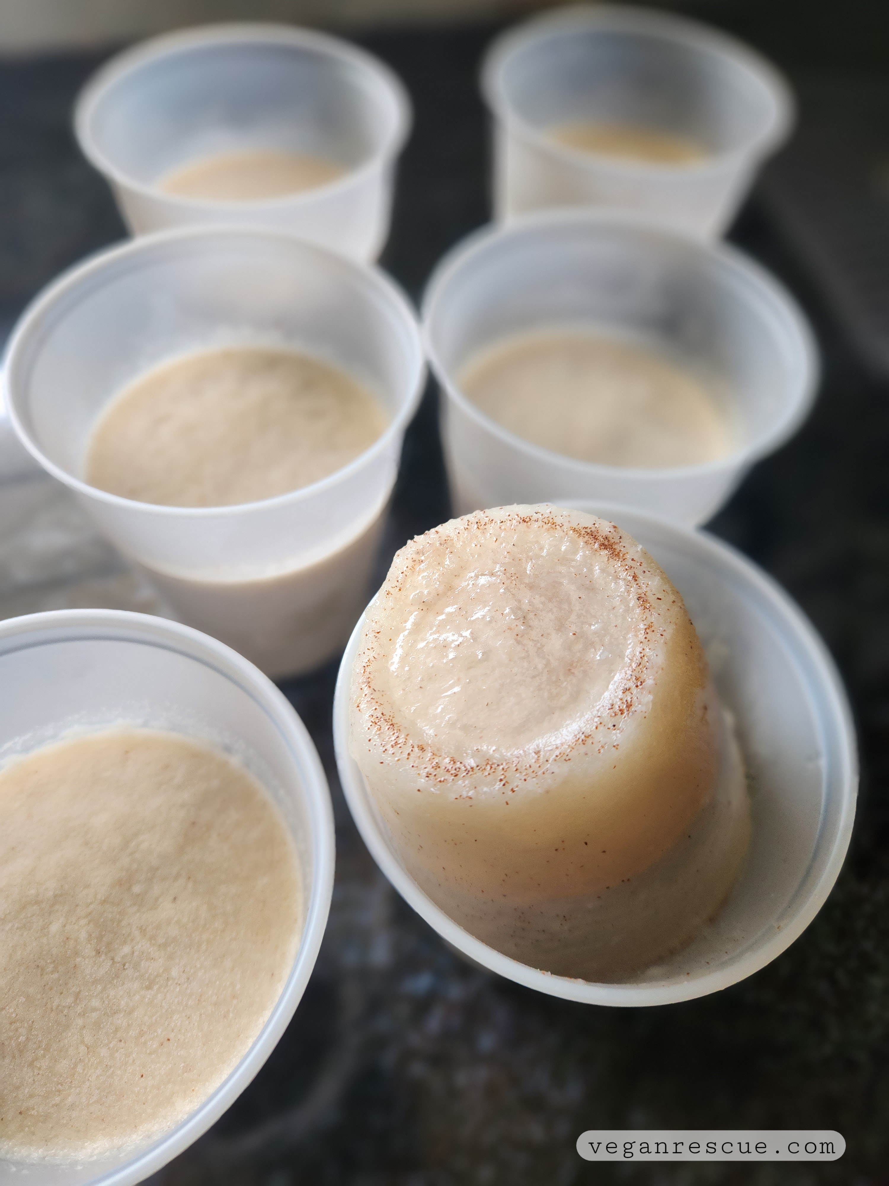 Limber (de Coco) ~ Puerto Rican Coconut Icy - Vegan Rescue